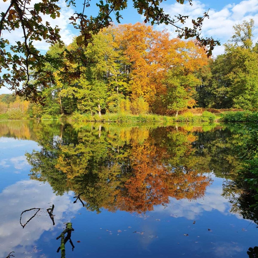 Camping Bij de Bronnen voor natuurliefhebbers